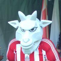 Come fare un costume da capra - 8 passi