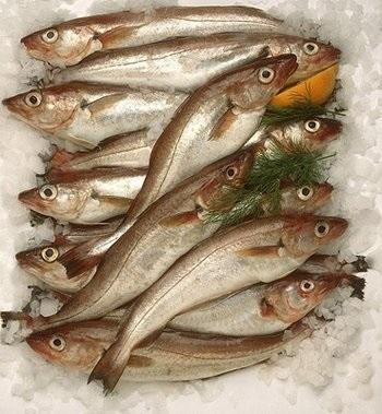 Qual è il pesce bianco