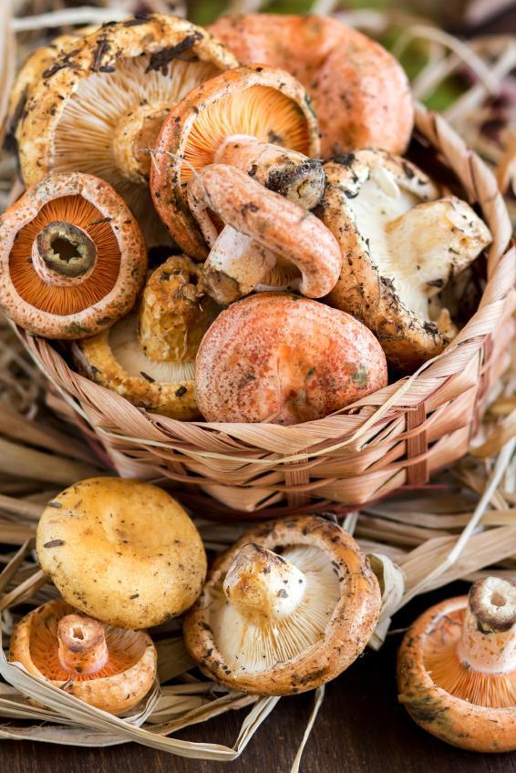 Come pulire i funghi rositi - 6 passi